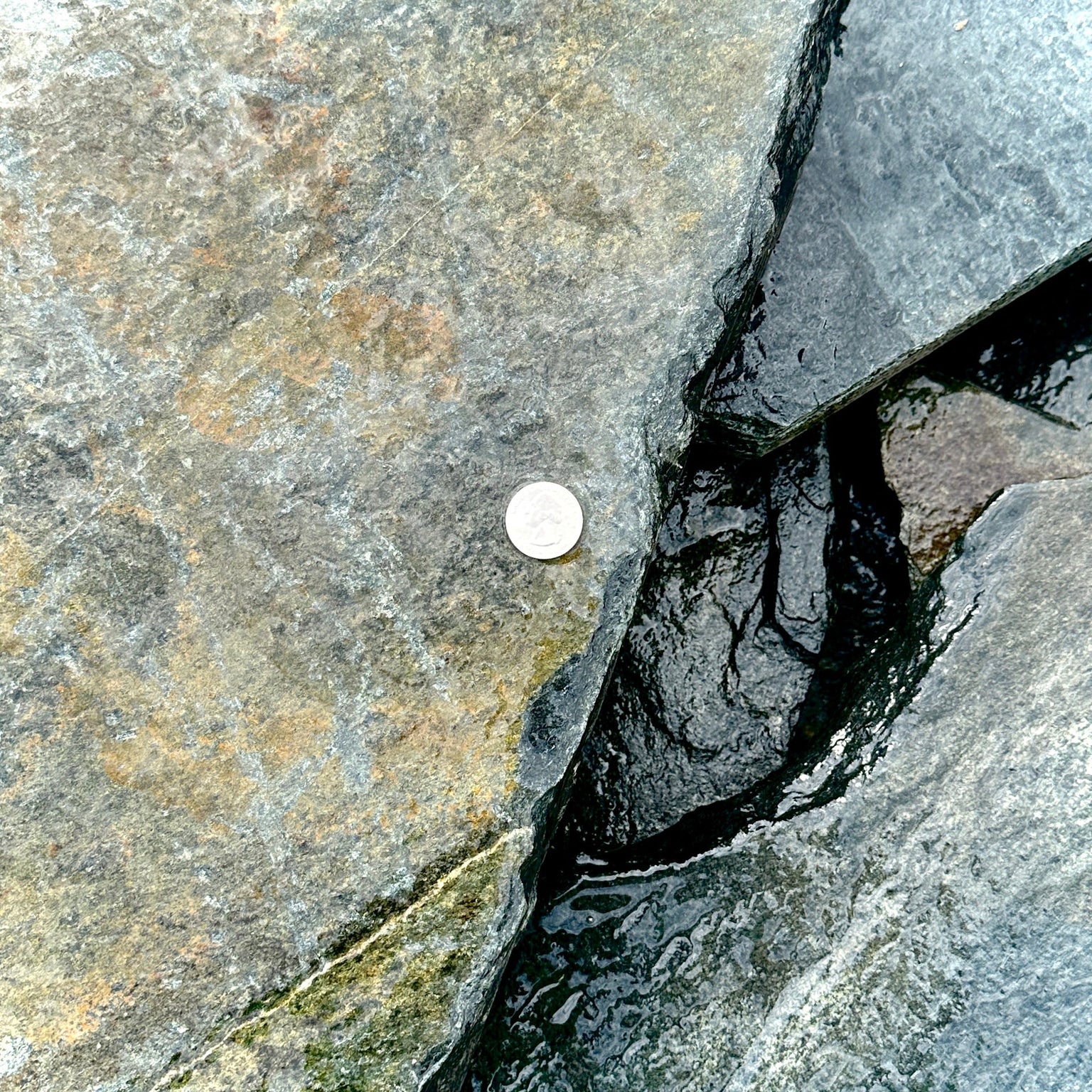Moonlight Blue Flagstone- 2000 Pound Pallet – Tons Of Stone