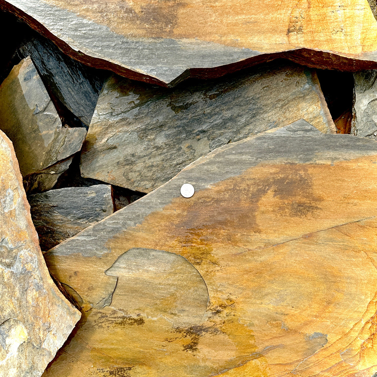 Summer Tan Flagstone- 2000 Pound Pallet – Tons Of Stone