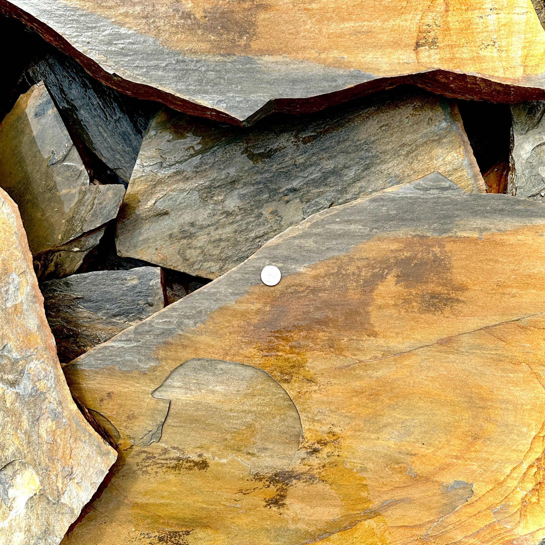 Summer Tan Flagstone- 2000 Pound Pallet – Tons Of Stone